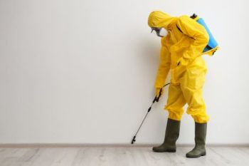What Does Pest Control Service Include? | Buzz Kill Pest Control