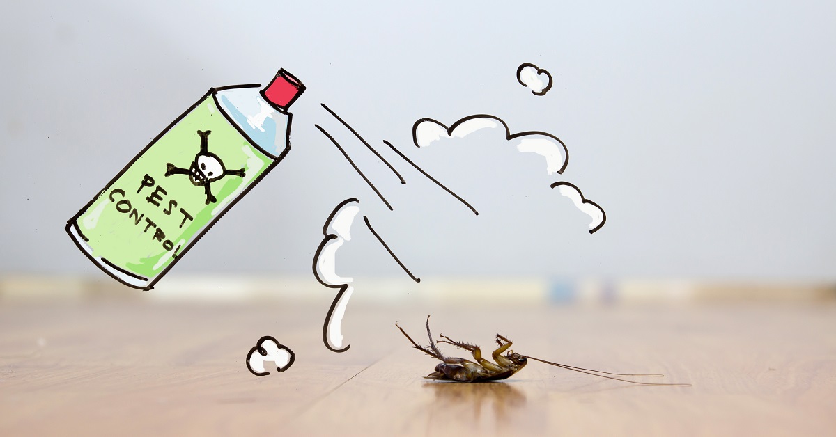 Pest Control Flower Mound TX | Buzz Kill Pest Control