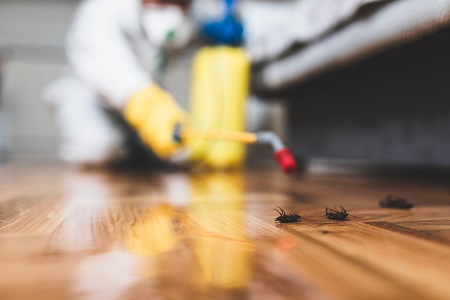 Exterminator Fort Worth TX | Buzz Kill Pest Control