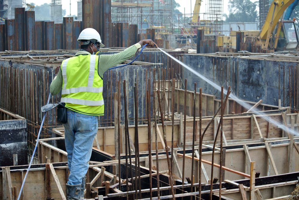 What Is Bora-Care® and Does It Work? | Buzz Kill Pest Control