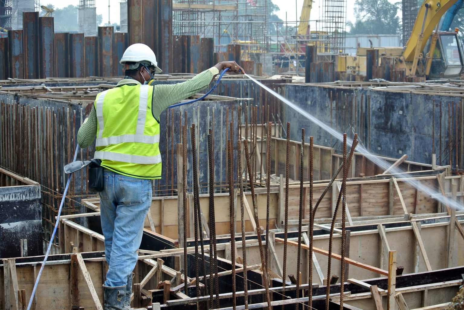 What Is Bora-Care® and Does It Work? | Buzz Kill Pest Control