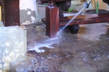 What Is Bora-Care® and Does It Work? | Buzz Kill Pest Control