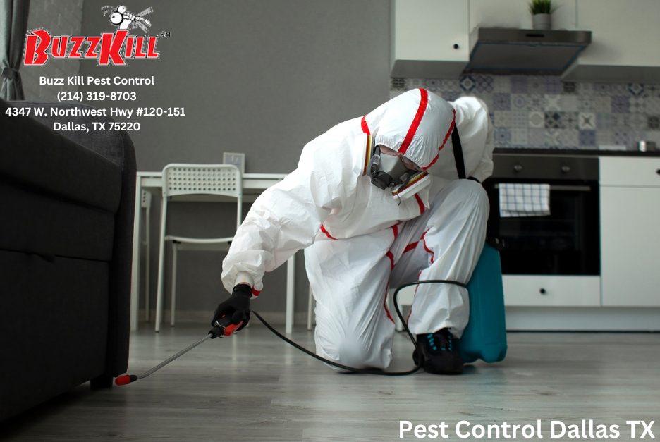 Buzz Kill Pest Control Marks 16 Years of Top-Tier Service in Dallas | Buzz Kill Pest Control