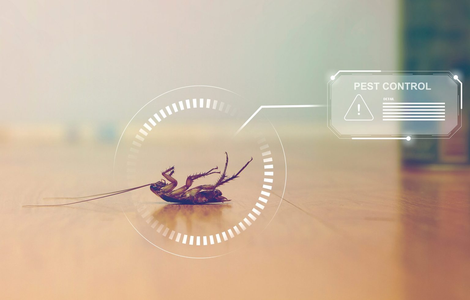 Pest Control Challenges in Commercial Buildings and Offices | Buzz Kill ...